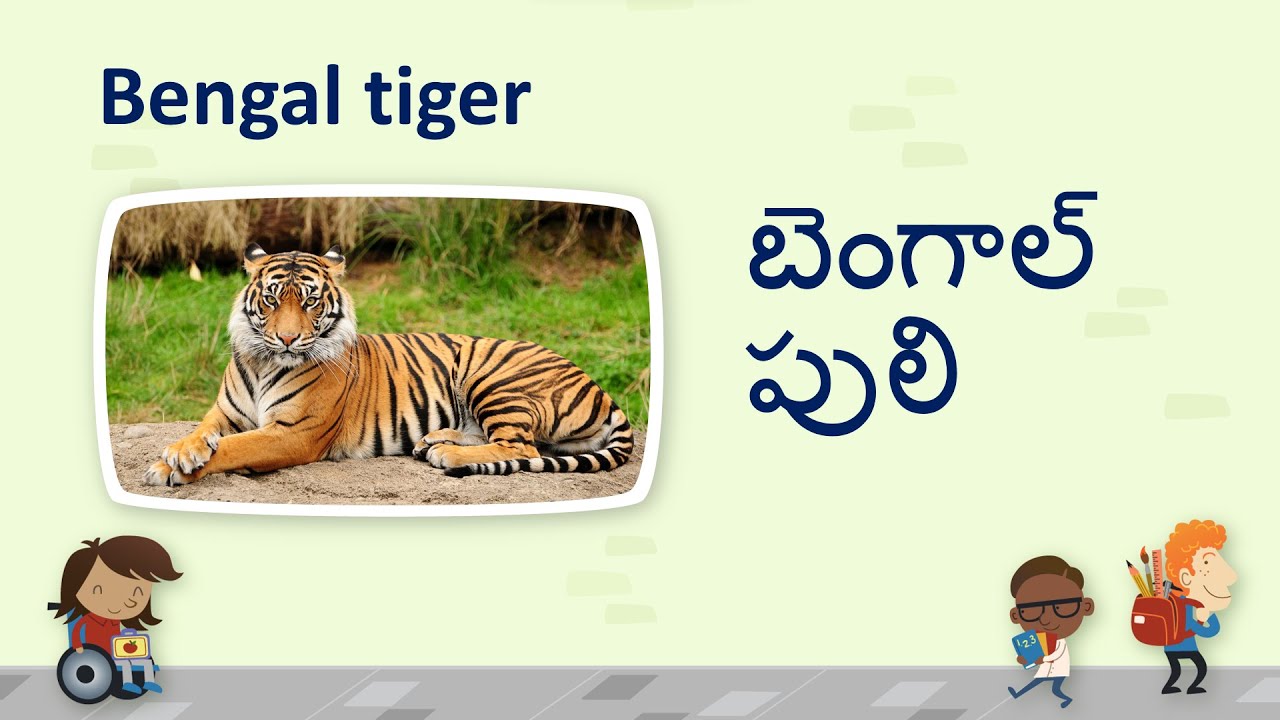 Wild animals names క్రూర/వన్యమృగాలు #wild animals names #Telugu wild ...