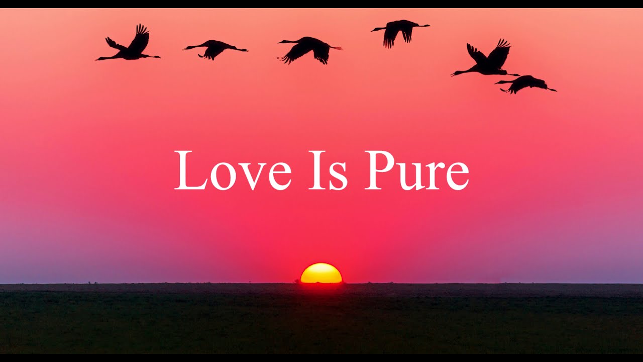 LOVE IS PURE | OUR LOVE IS PURE - YouTube
