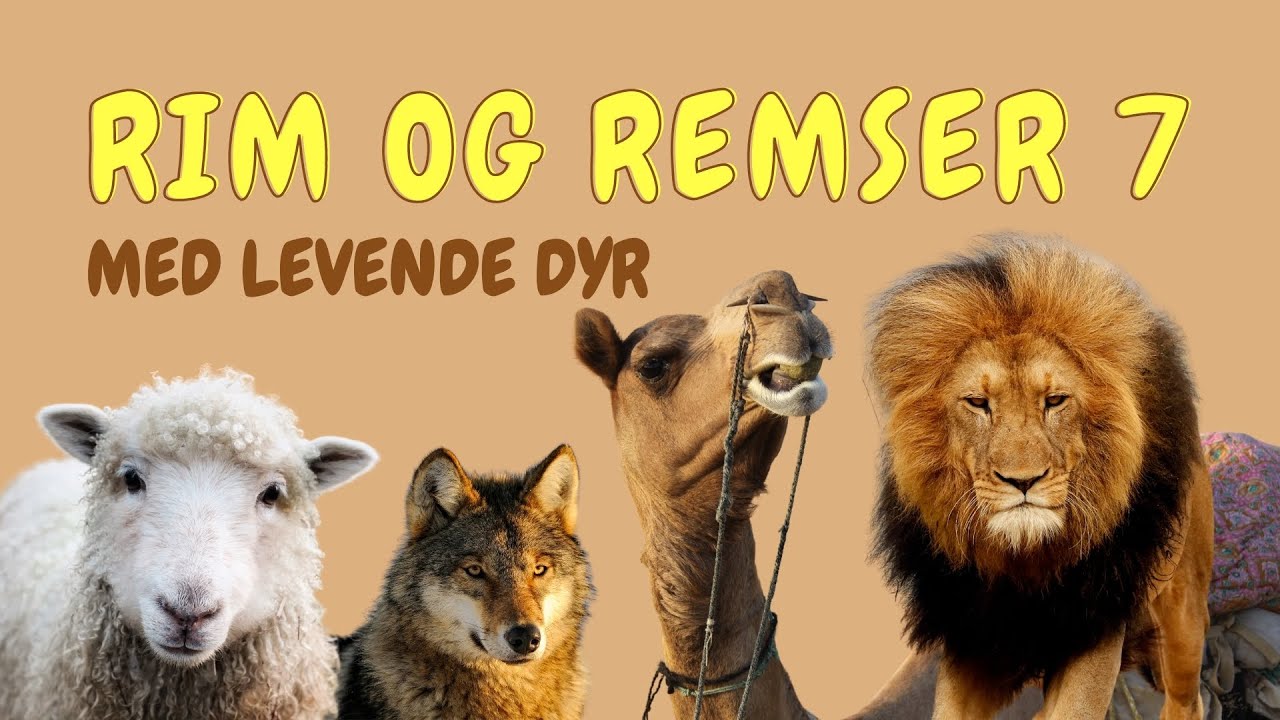 Rim og remser for børn om dyr | Rim med video af levende dyr | Tekst i ...