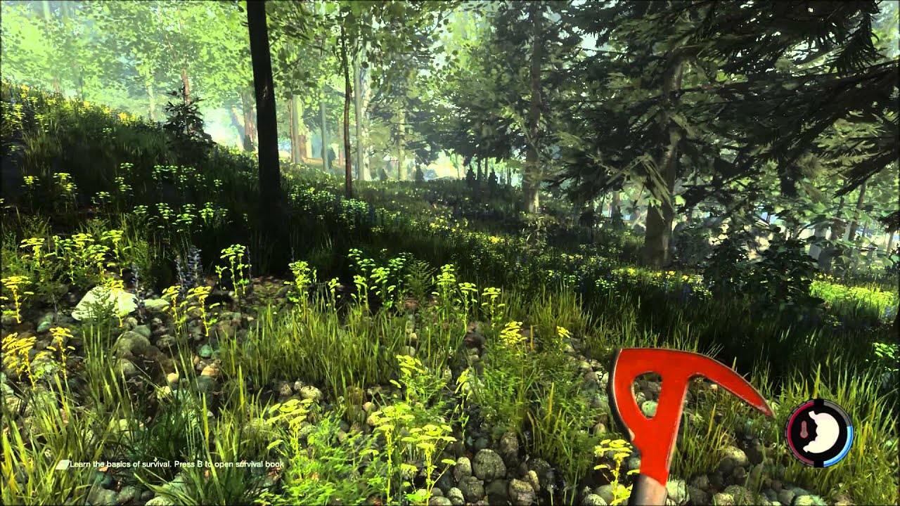 THE FOREST - L'INIZIO - GAMEPLAY ITA FULL HD VIDEO 1 - YouTube