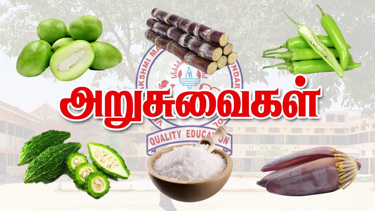 CLASS 1 Tamil Activities YouTube class-1-tamil-activities-youtube