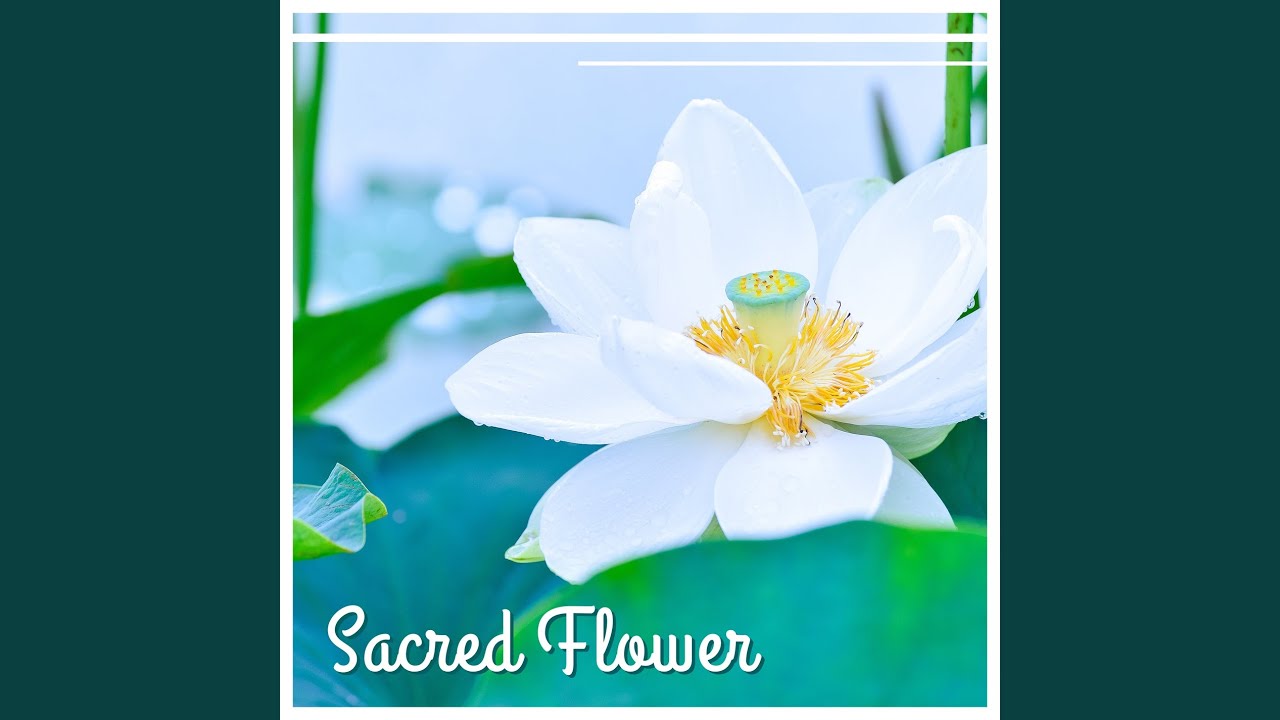 Higher Realms of Divine Awareness - YouTube