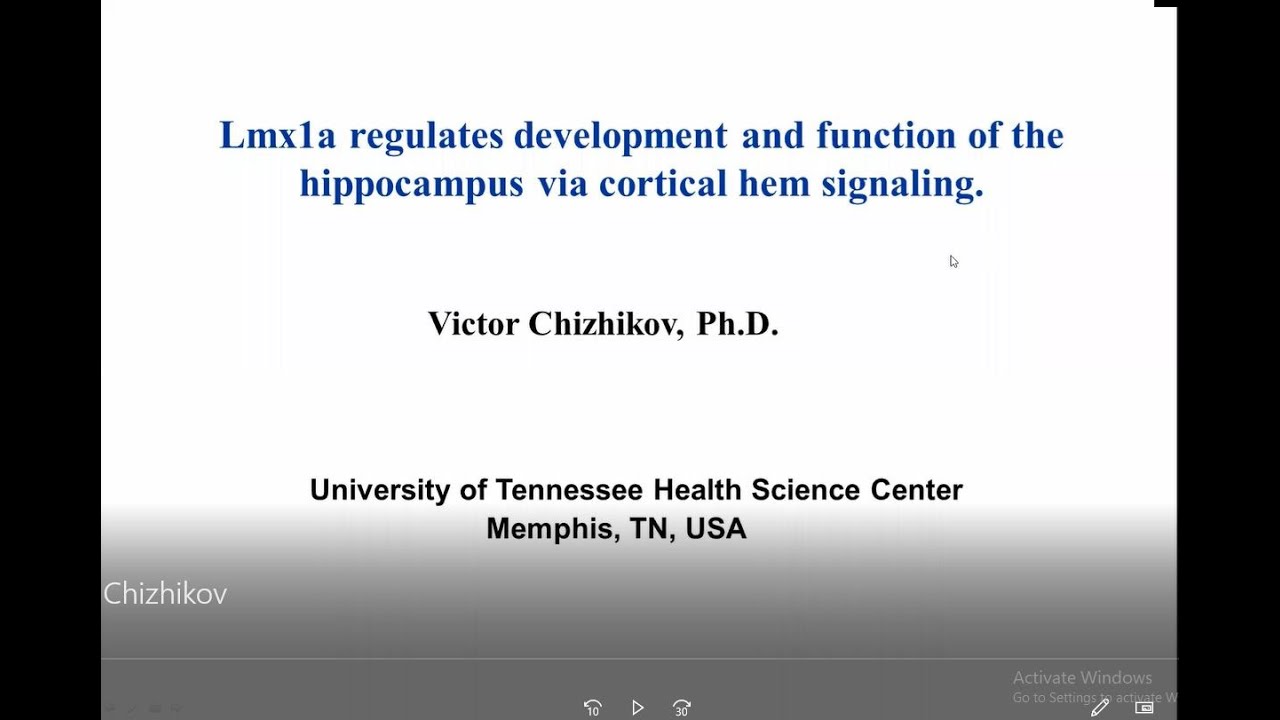 Lmx1a regulates development and function of the hippocampus via ...