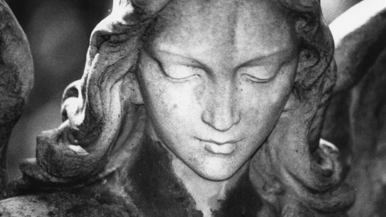 Pathogen Shift - Serenity - YouTube