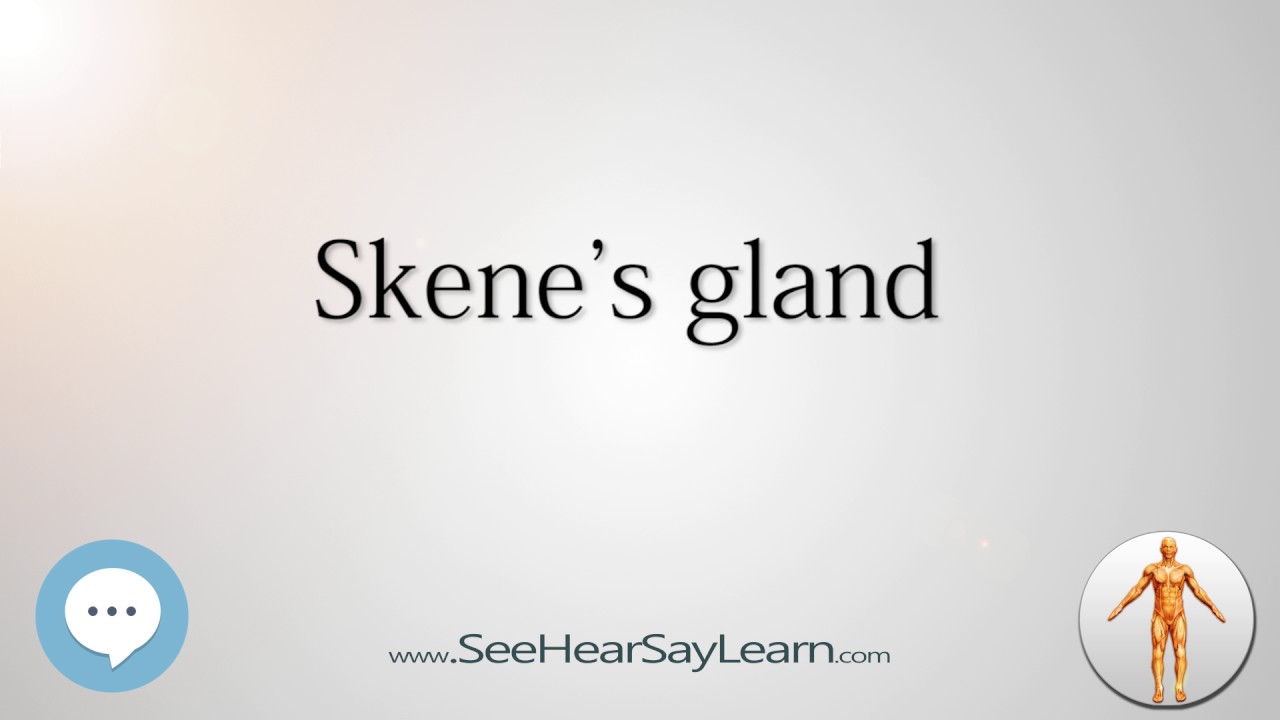 Skene's gland Anatomy Named After People 🔊 - YouTube
