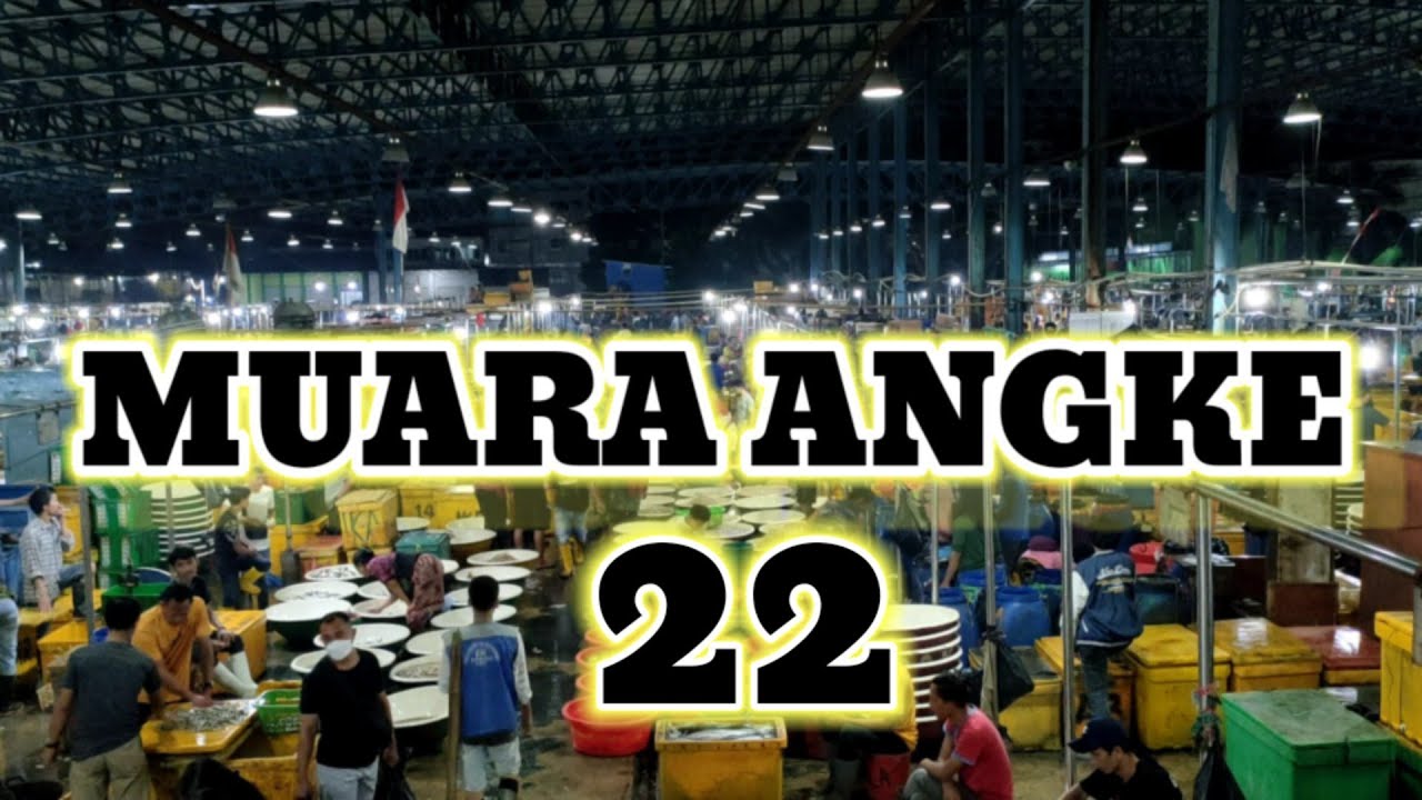 Seafood di Pasar Ikan Grosir Muara Angke Jakarta Utara 2022 - YouTube