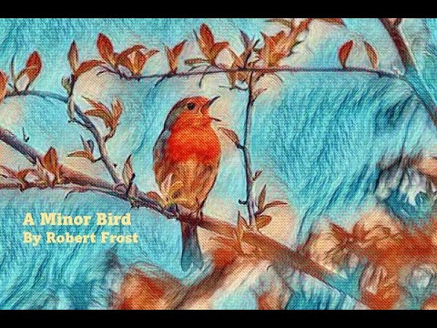 "A Minor Bird" by Robert Frost - YouTube