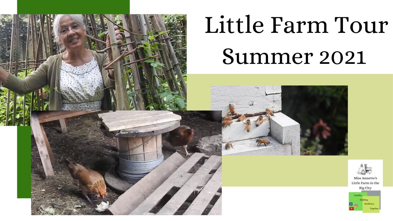 Tour the Little Farm Summer 2021 - YouTube