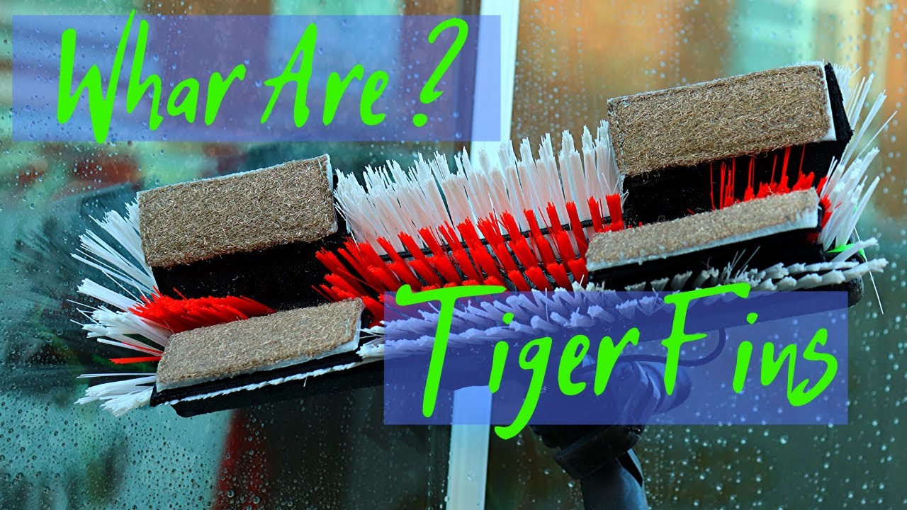 Introducing Tiger Fins - YouTube