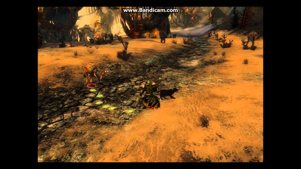GW2 Legendary Longbow Kudzu Quick Combat - YouTube