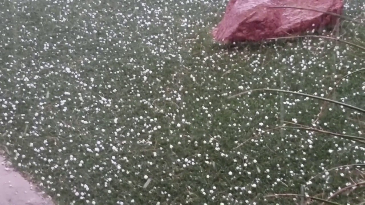Small Hail, November 3, 2016 - YouTube