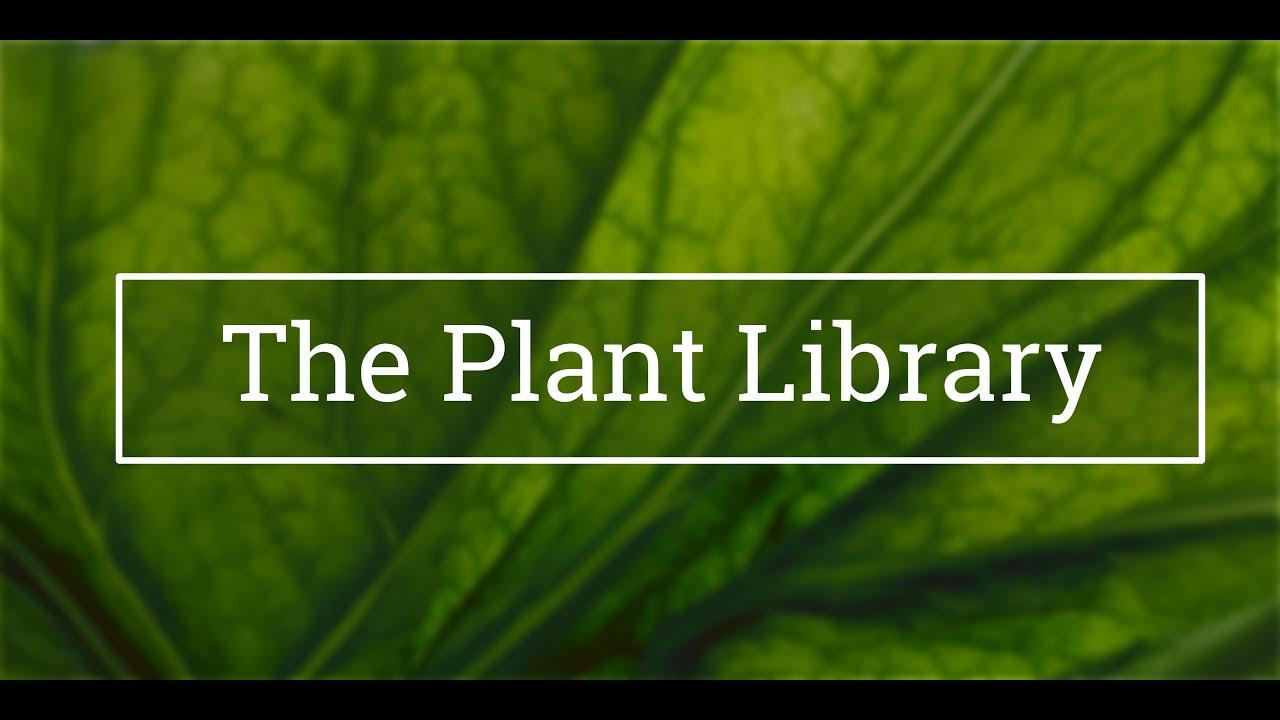 Introduction to The Plant Library - YouTube