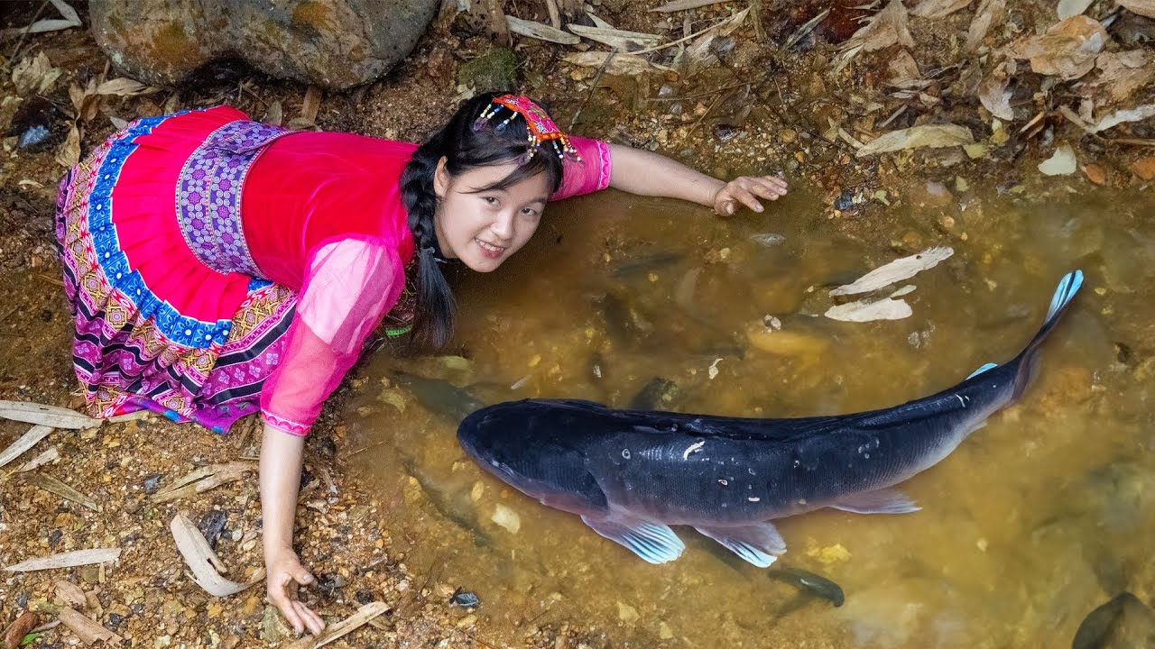 Harvesting CORPSE-EATING FISH - Harvest and take care family | Ella ...