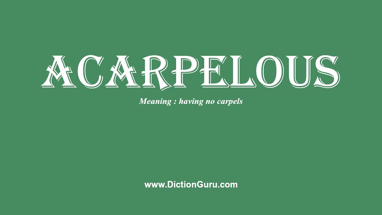 acarpelous: How to pronounce acarpelous with Phonetic and Examples ...
