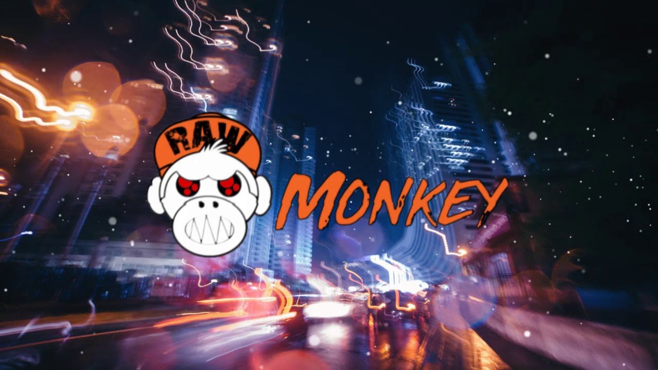 XANDER - Audiofile.01 (HARDSTYLE) [MONKEY TEMPO] - YouTube