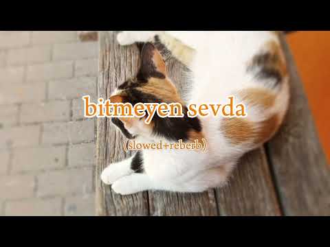 Bitmeyen sevda (slowed+reverb)