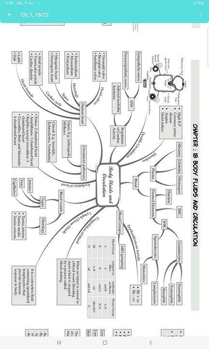Body Fluids and Circulation mind map class 11 biology for Neet aspirant - YouTube