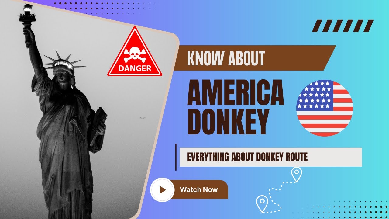 WHAT IS AMERICA DONKEY - EXPLAINED BY YOGESH KHASA || USA DONKEY FROM ...
