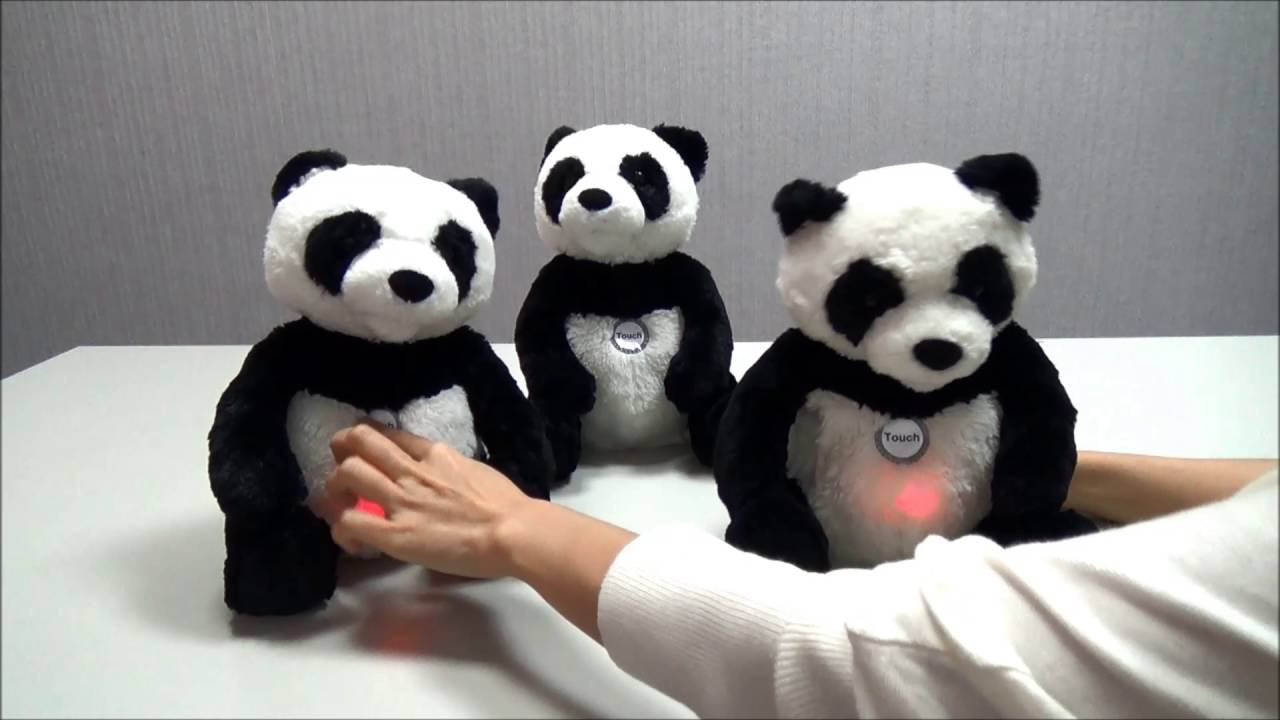 Touch Panda - Bingo Song - YouTube