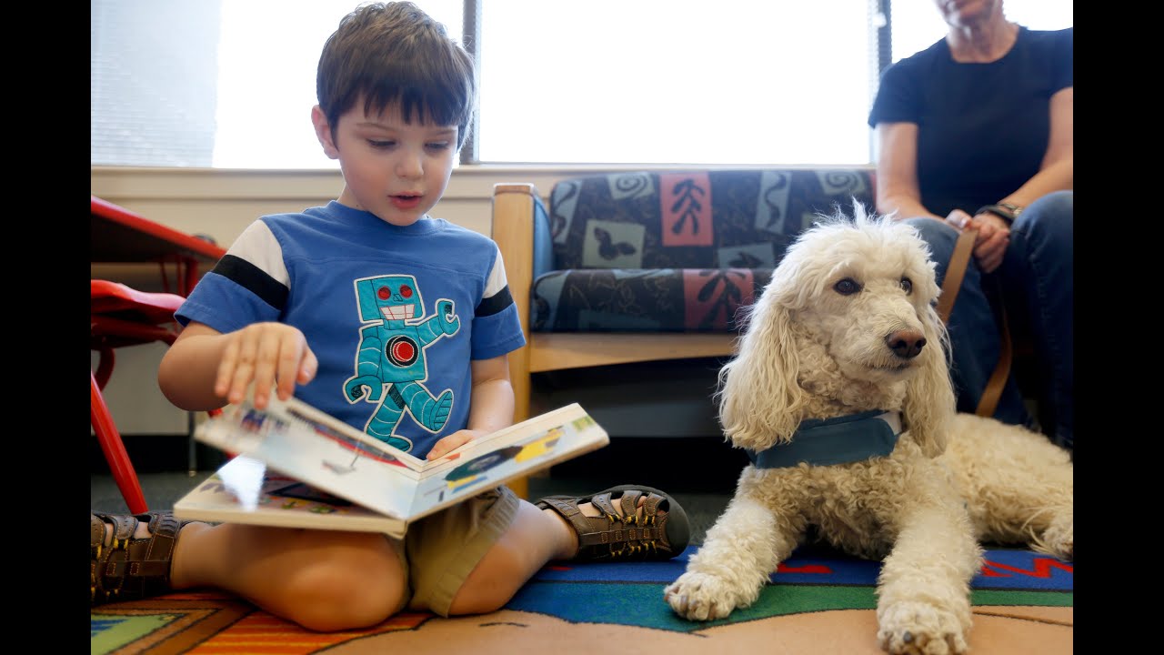 Paws to Read at West Richland Library - YouTube