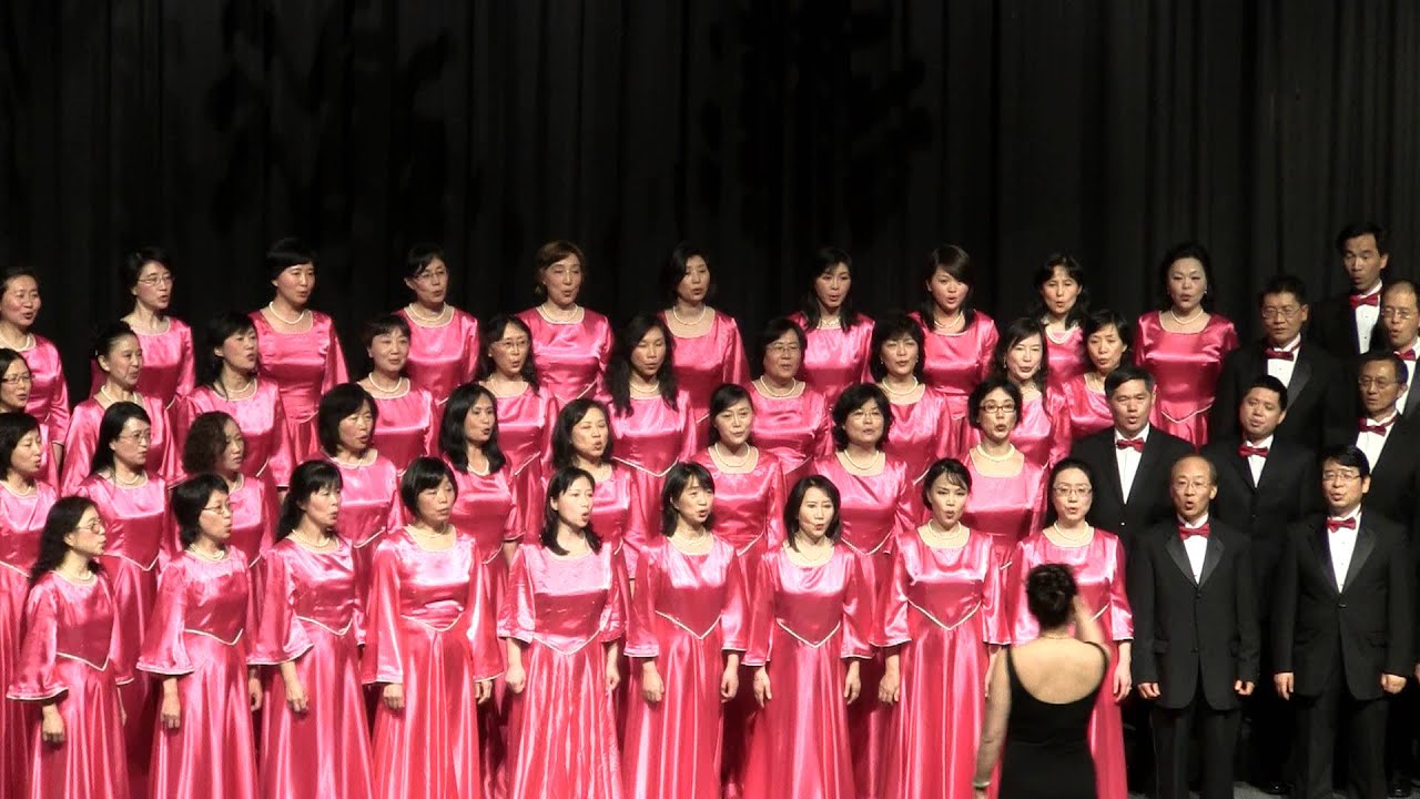 CCCAS at 2013 HaiHua 1 - YouTube