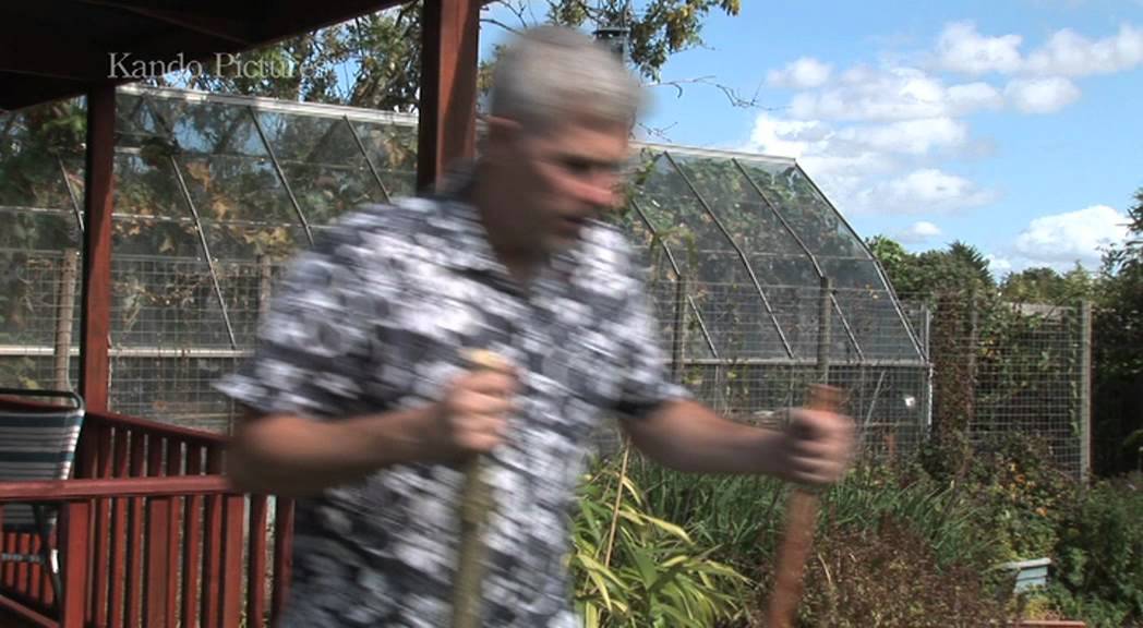 Acorn guns - YouTube