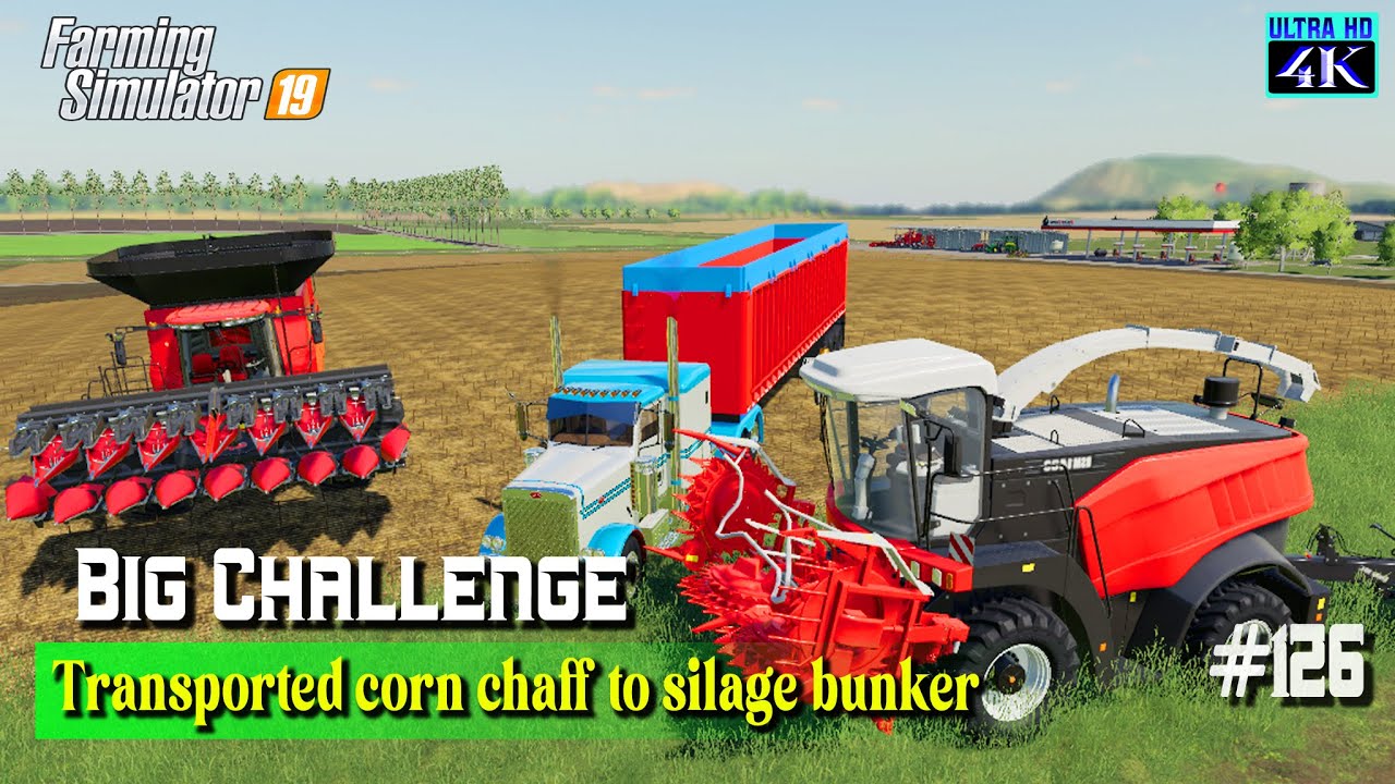 Transported CORN CHAFF to SILAGE BUNKER and CUT SUNFLOWER / # 126 ...