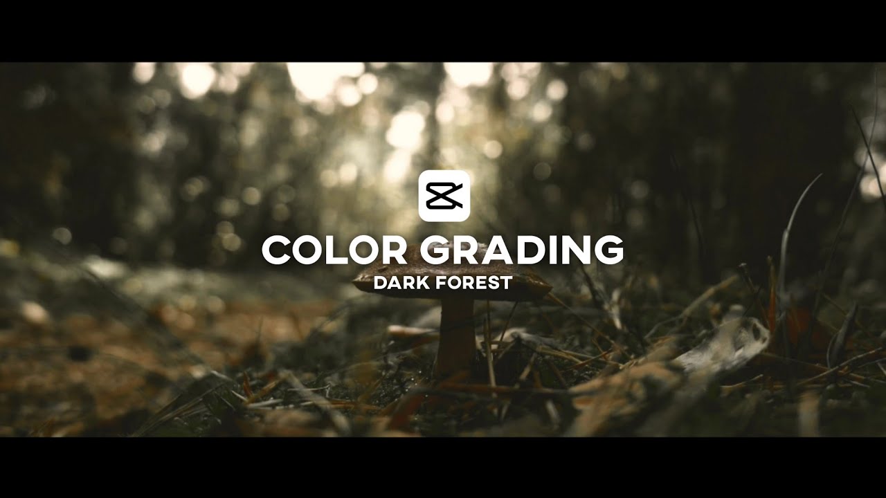 Capcut Color Grading | Dark Forest | Tutorial | For Free - YouTube