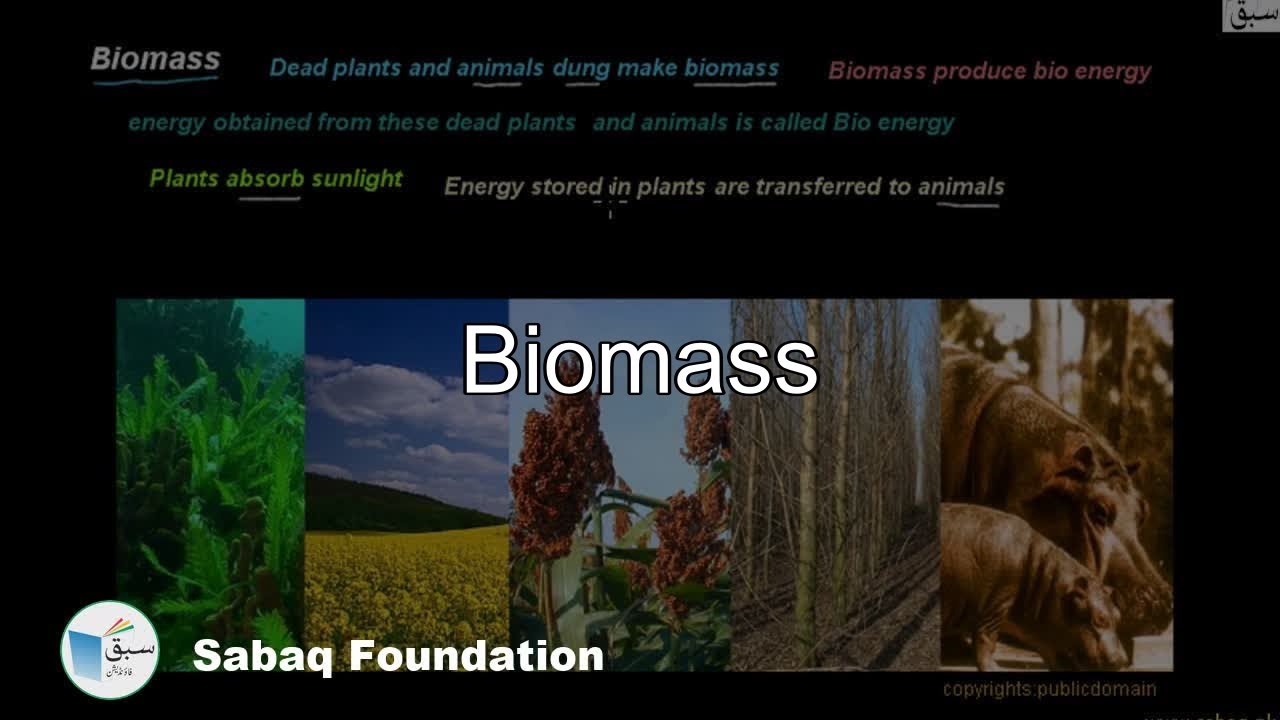 Biomass, General Science Lecture | Sabaq.pk - YouTube