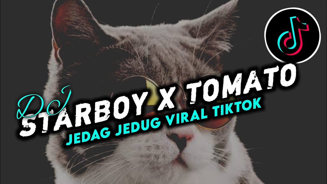 DJ STARBOY X TOMATO JEDAG JEDUG VIRAL TIKTOK STYLE TYPE BEAT - YouTube
