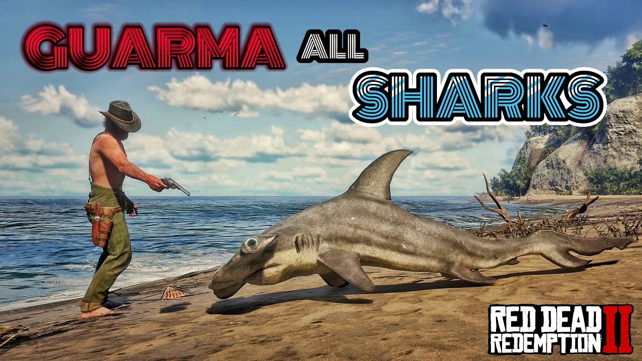 GUARMA all Hammerhead Shark 🦈 location easy spawn ️ #reddeadredemtion2 ...
