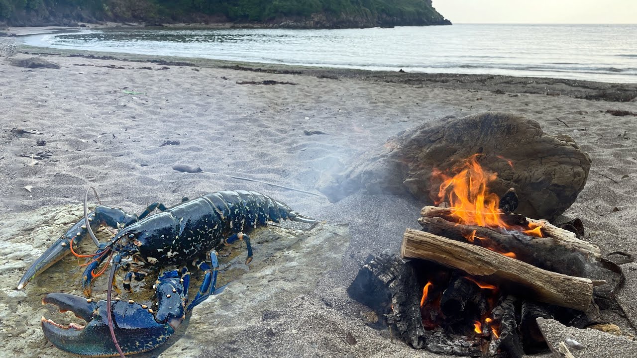 Lobster catch and cook on the beach - YouTube