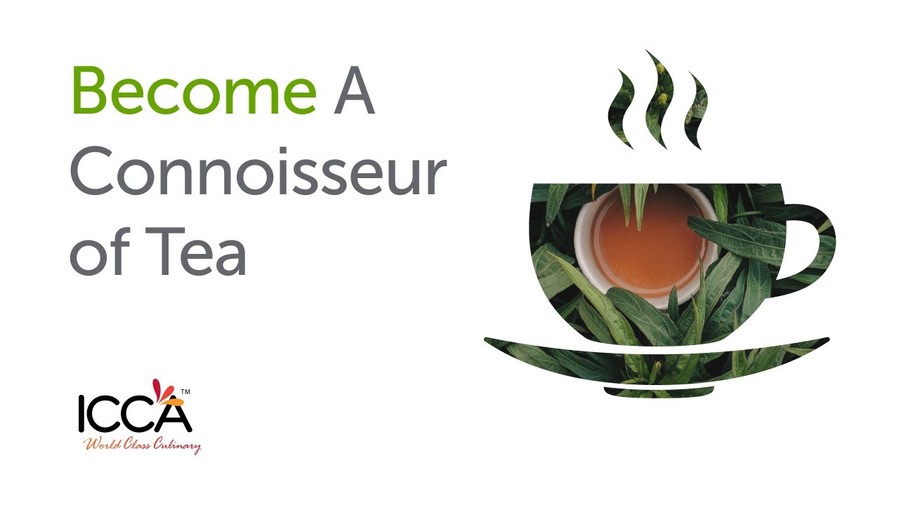 School of Tea Program - Become a Connoisseur of Tea - YouTube