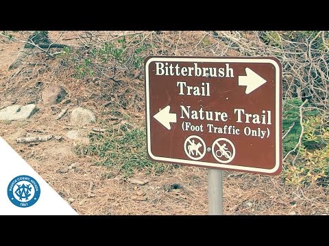 Washoe County Chair Kitty Jung Discusses Discretionary Funds