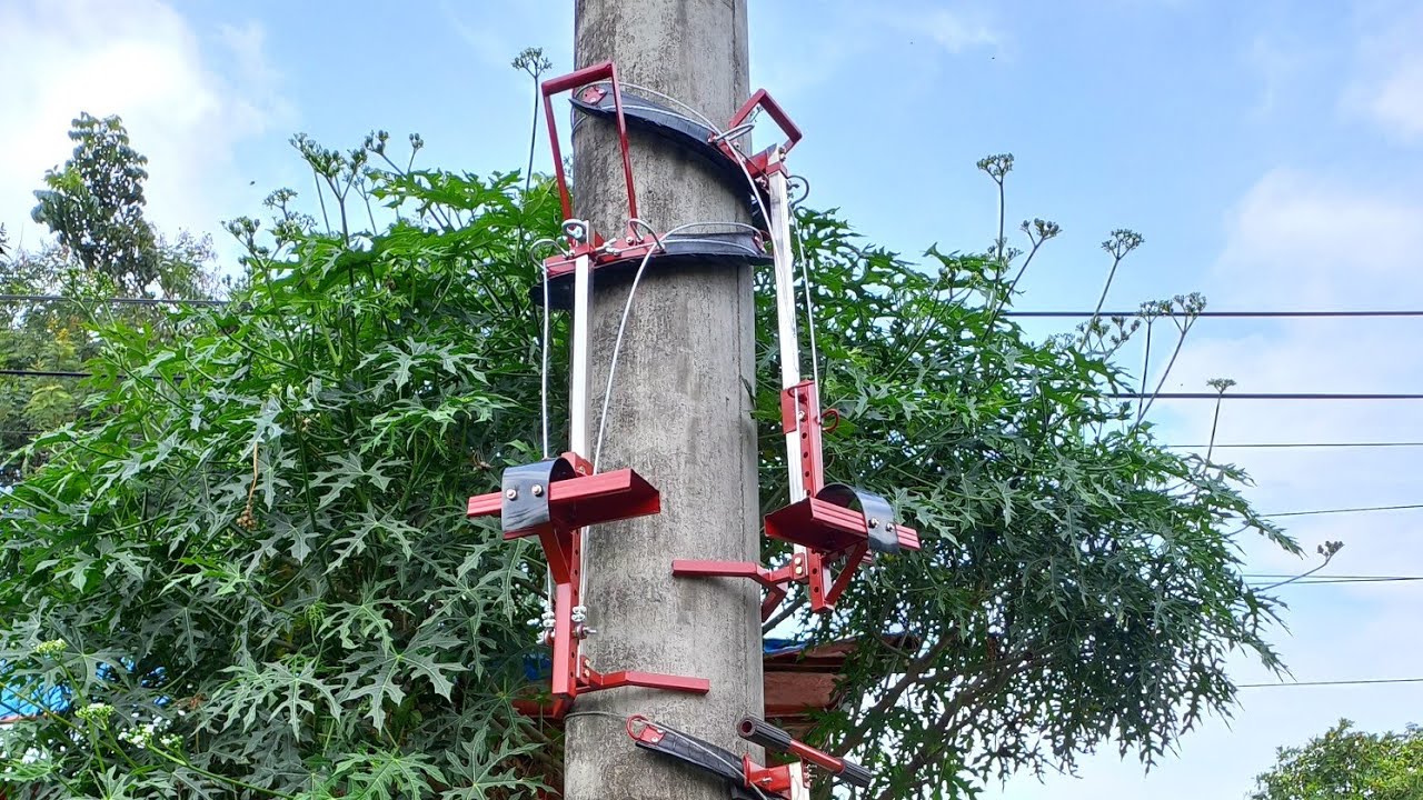 Panjat tiang Listrik pakai alat panjat pohon kelapa. Panjatkit tipe T3s ...