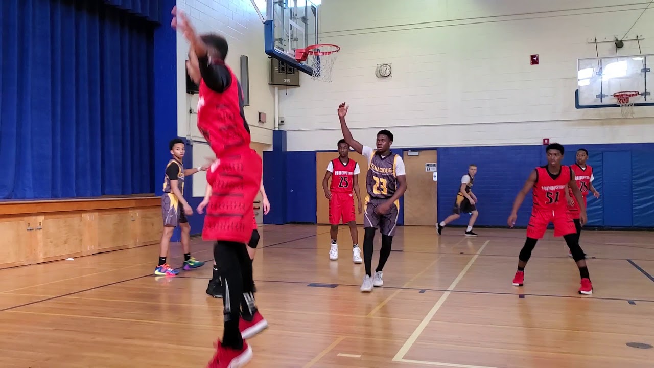 Team Tenacious vs dmv hoopstarz 2/9/2020 #1 - YouTube