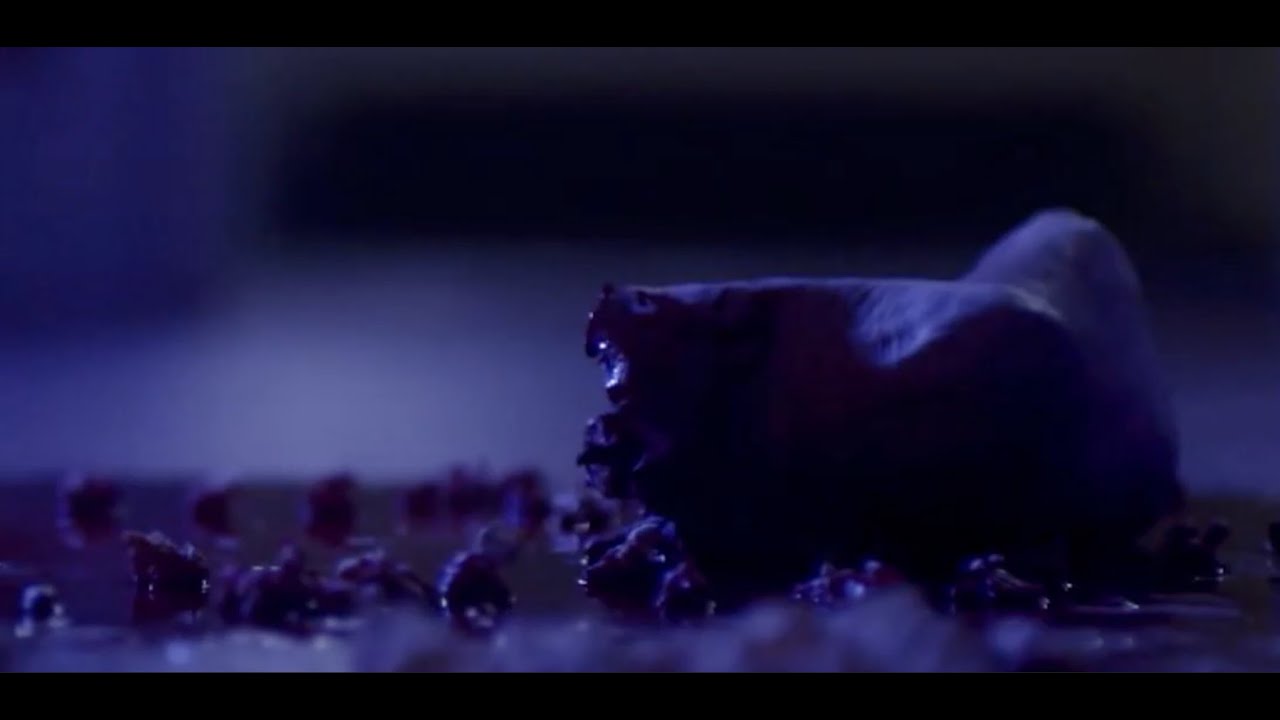 (LEG CUT) Charlotte - Horror Movie 1 clips SL MEME TIK TOK - YouTube