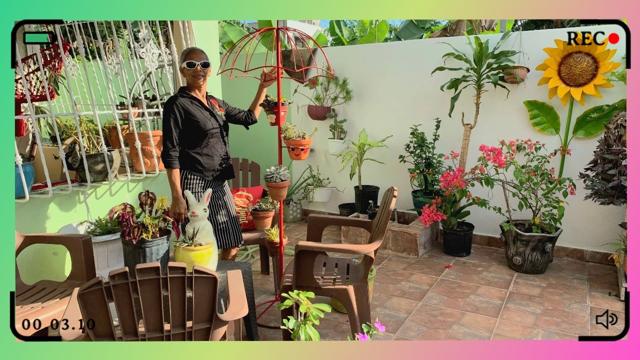 Cómo decorar tu sombrilla con plantas! ¿Cuáles usé yo?😱😍🪴 - YouTube