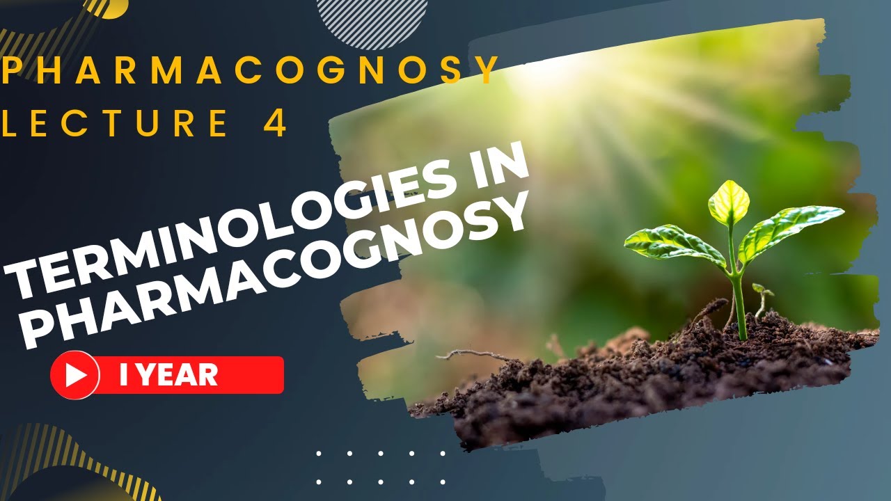 Terminologies in pharmacognosy pharmacognosy lecture 3 - YouTube