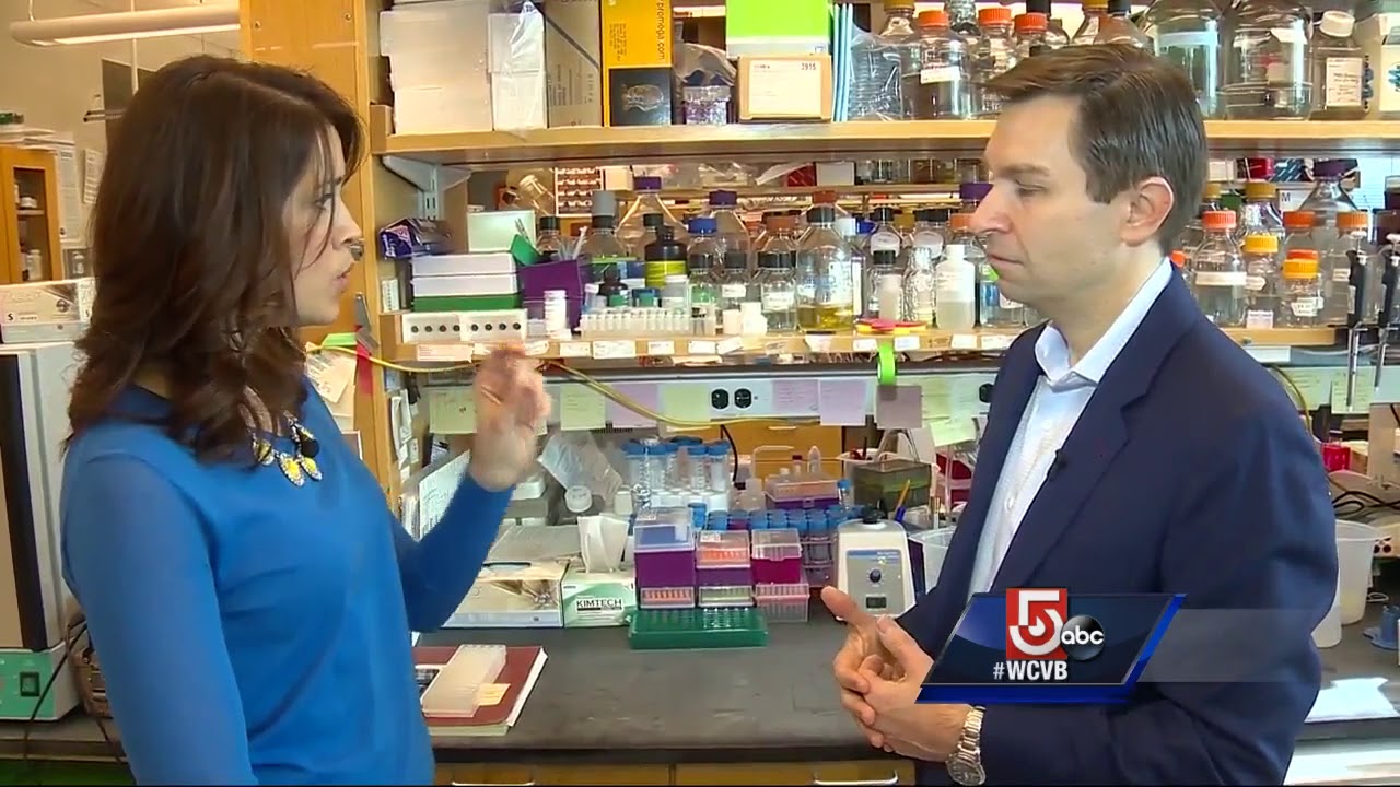Boston researchers make breakthrough in reverse aging - YouTube