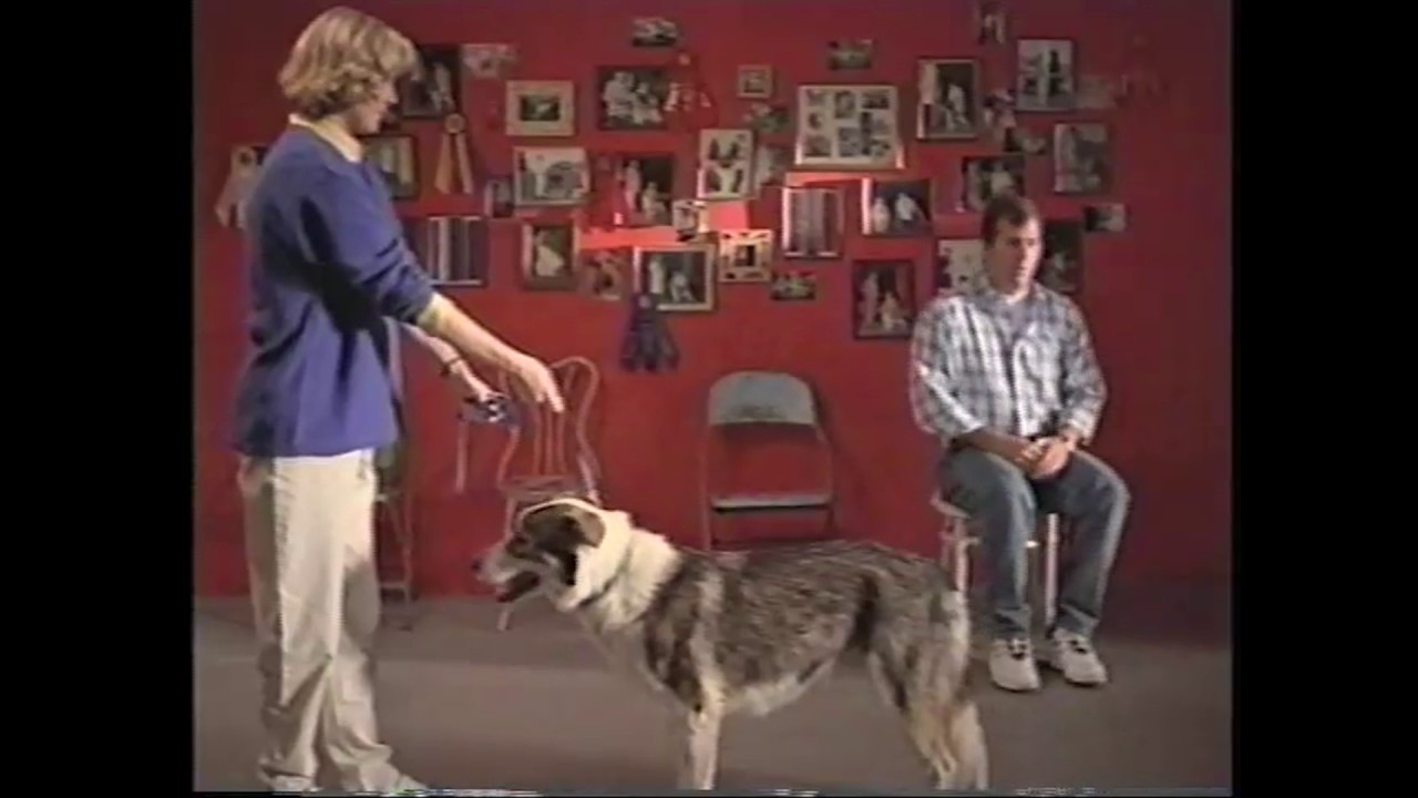 Mary Poindexter McLaughlin's Commercial Reel - YouTube