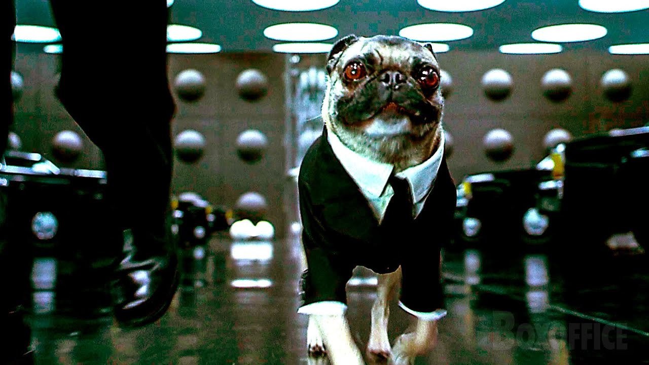 Will Smith es el mejor socio hasta la fecha | Hombres de negro II ...