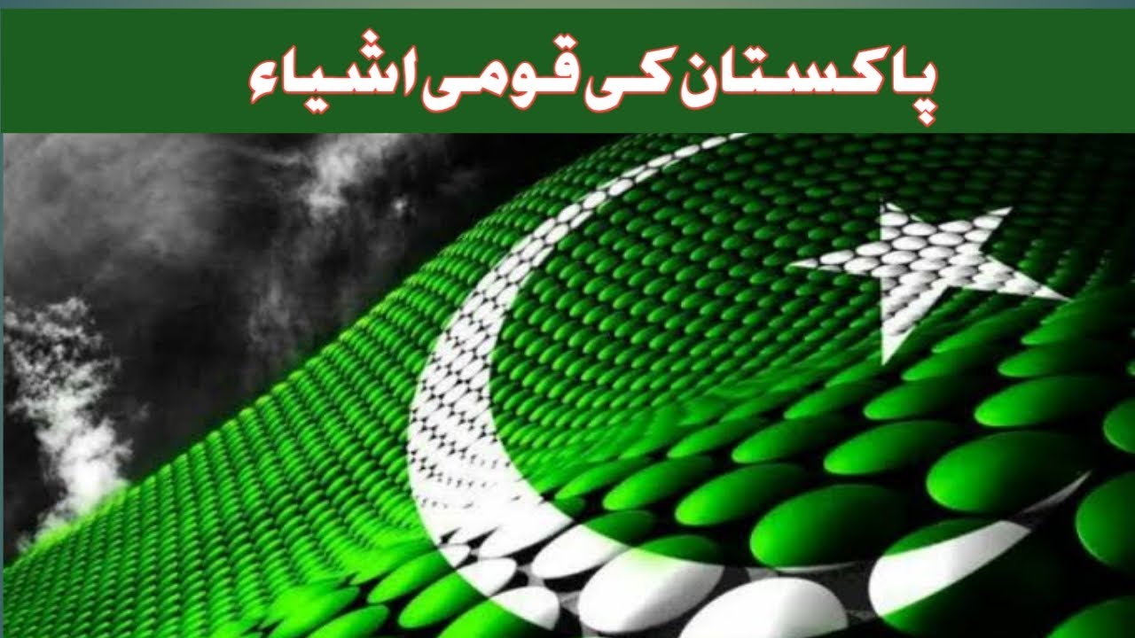 National Symbols of Pakistan | National Things of Pakistan - YouTube