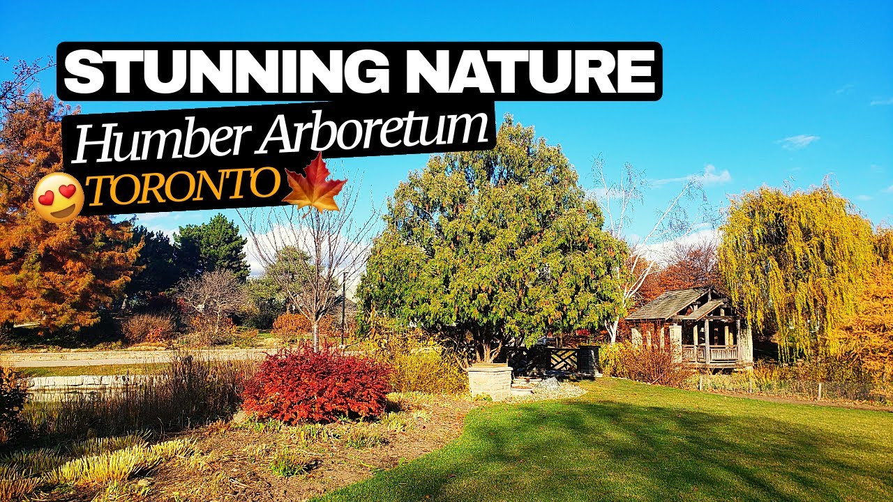 4K Walking Tour of Humber Arboretum | Toronto Nature Exploration - YouTube