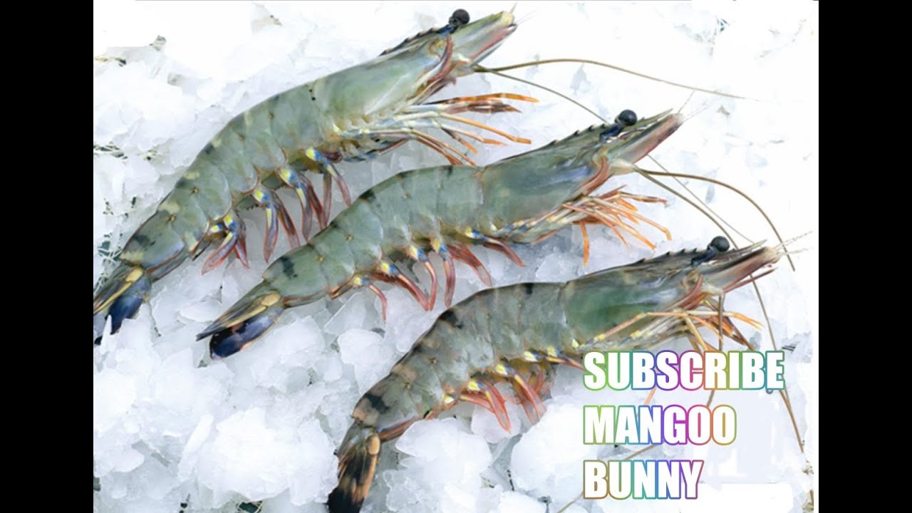 HOW TO MAKE CRISPY GOLDEN PRAWNS FRY - YouTube