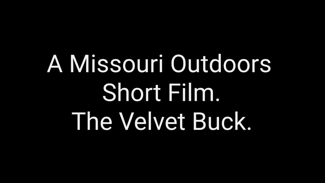 The Velvet Buck! - YouTube