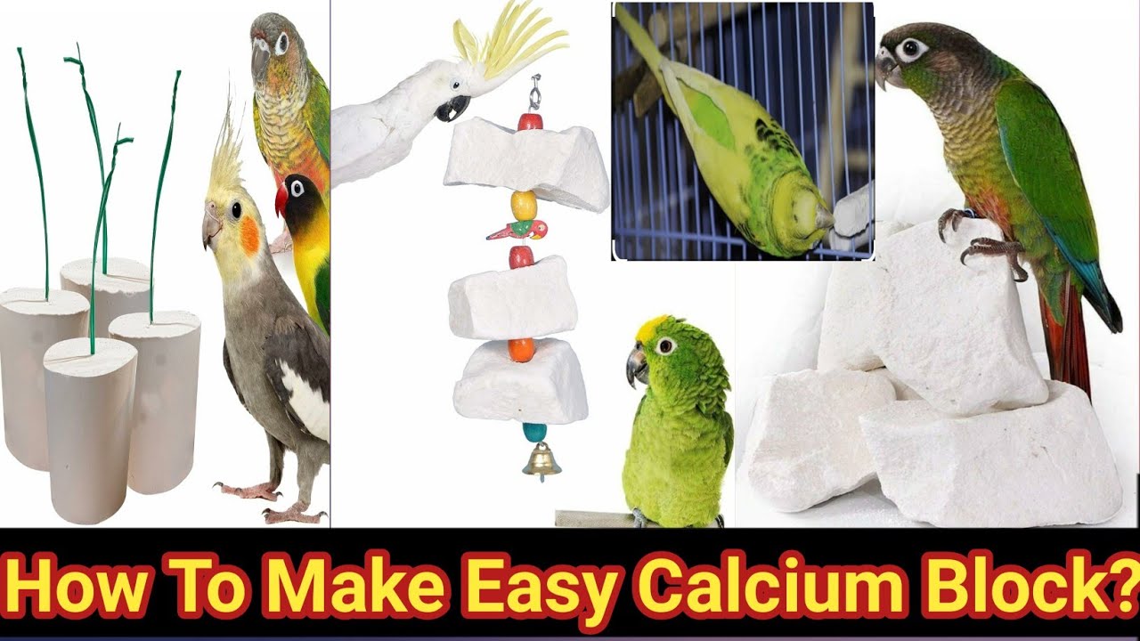 How to make easy Calcium Block? कैल्शियम ब्लॉक कैसे बनाए? Calcium block ...