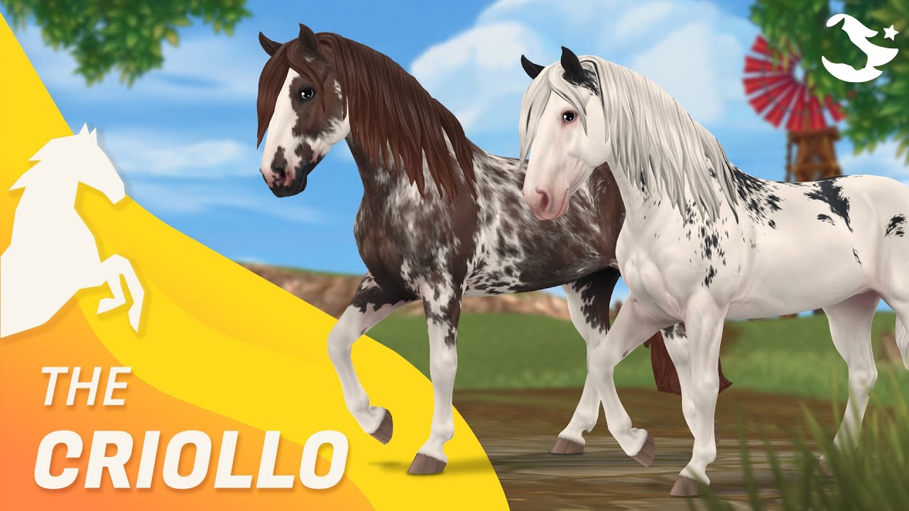 The Criollo | Star Stable Horses - YouTube