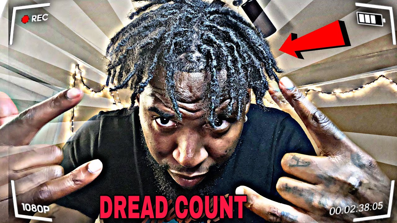 HOW MANY LOCKS DO I HAVE? DREAD COUNT! IM 6 MONTHS IN!!! - YouTube
