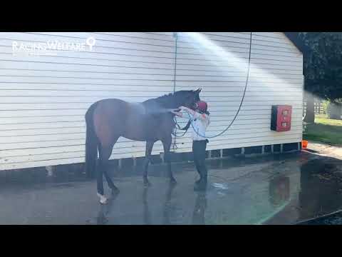 Virtual Epsom Open Day - Michael Attwater Racing - YouTube